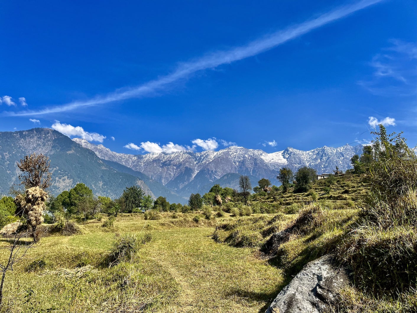 Why Trekkers Now Prefer Solitude Over Selfies